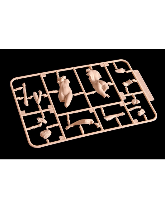 PLAMAX Naked Angel 1/20 戸田真琴 | GOODSMILE ONLINE SHOP